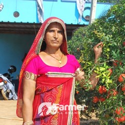 Smt. Santosh Devi - Farmer The Brand