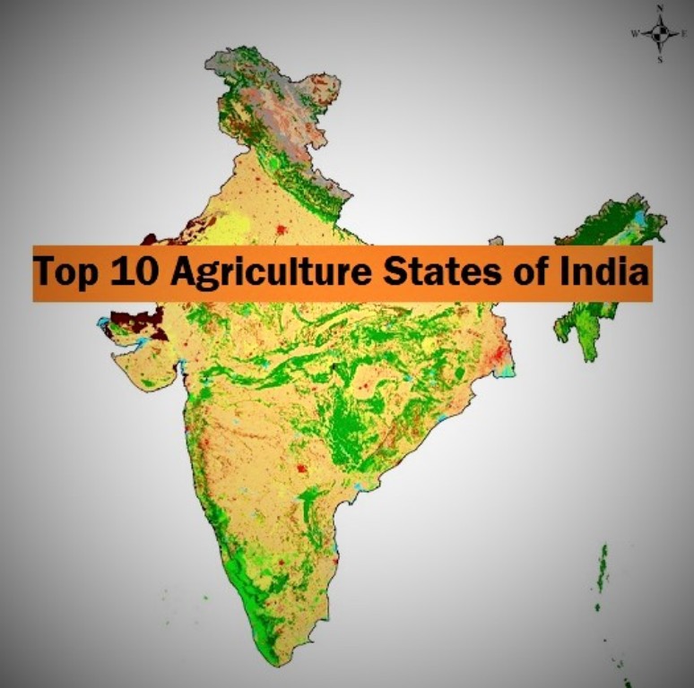 Top 10 Leading Agriculture States of India – With Most Crops!