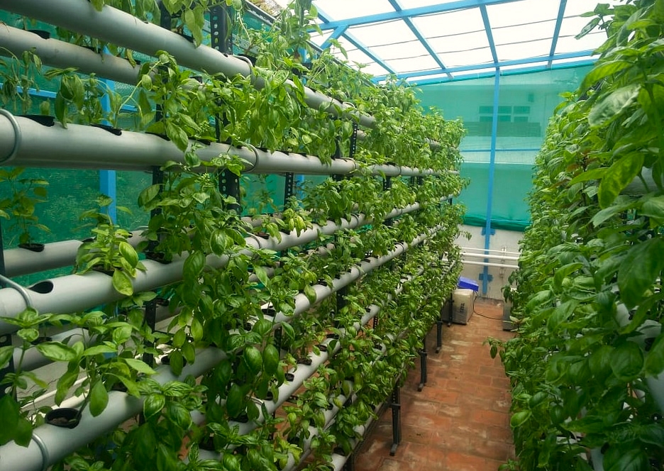 UAE develops world’s biggest vertical farm and plans to boost food ...