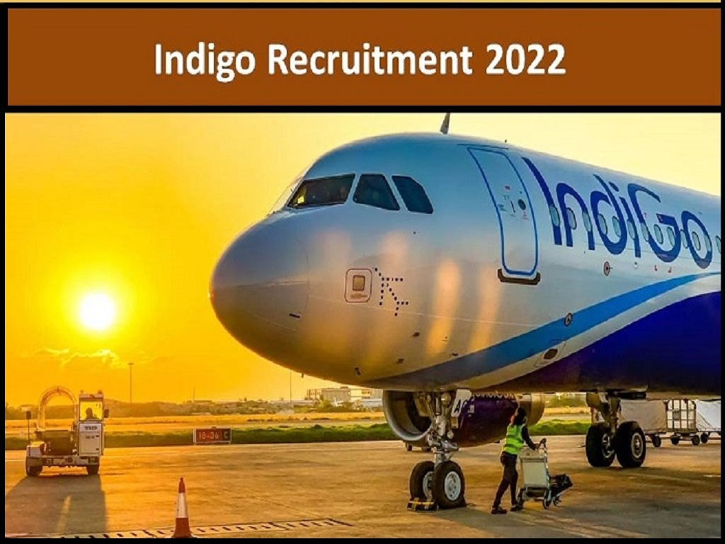 Indigo Jobs 2022: Do Not Miss The Opportunity To Work With Indigo, 12th ...