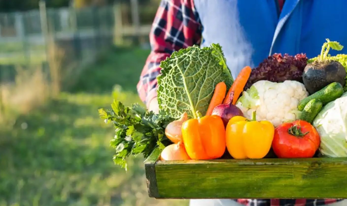 Farms That Use Soil-Friendly Practices Produce Healthy Food