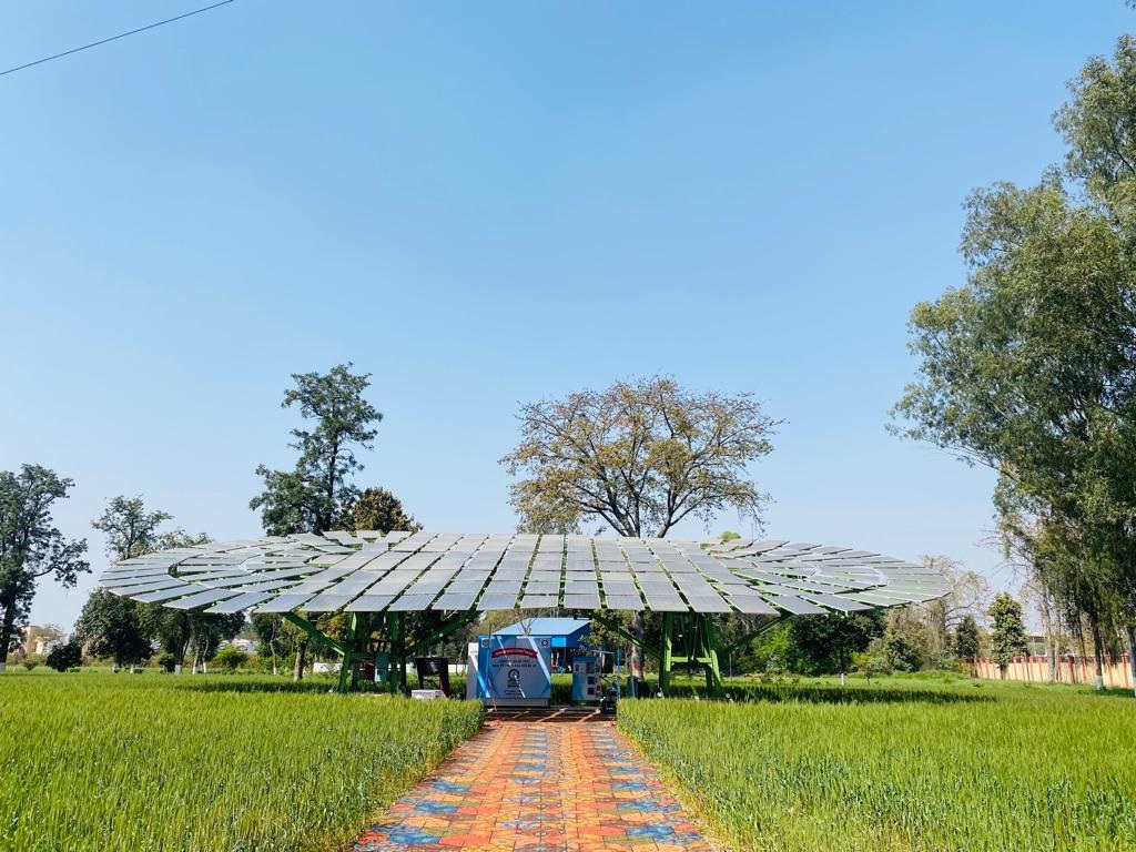 CSIR-CMERI Develops World’s Largest Solar Tree; Registers its name in ...